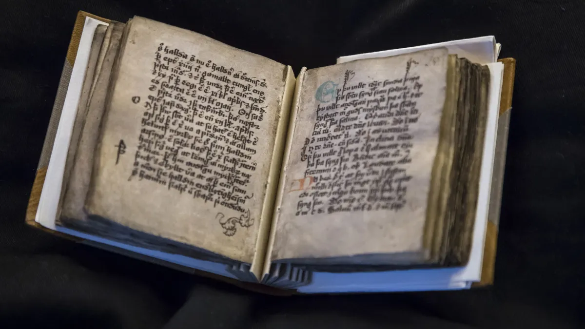 Viking and Medieval Norse Studies | University of Iceland