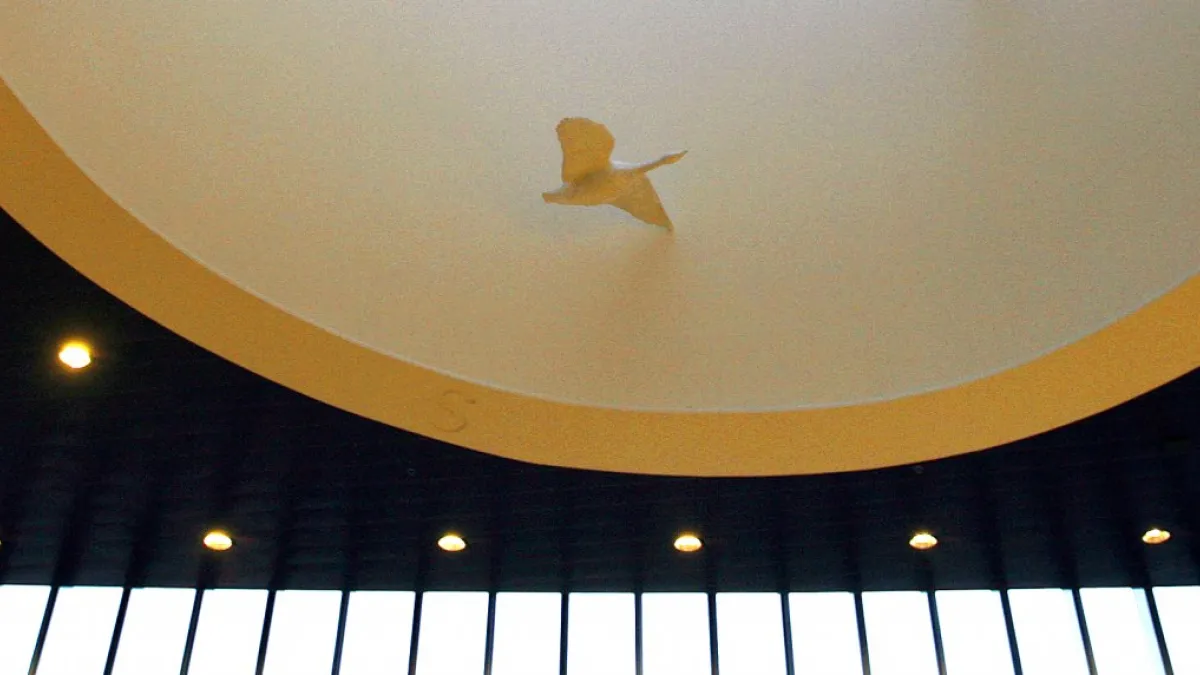 Icelandic professors among the most influential scientists in the world ...